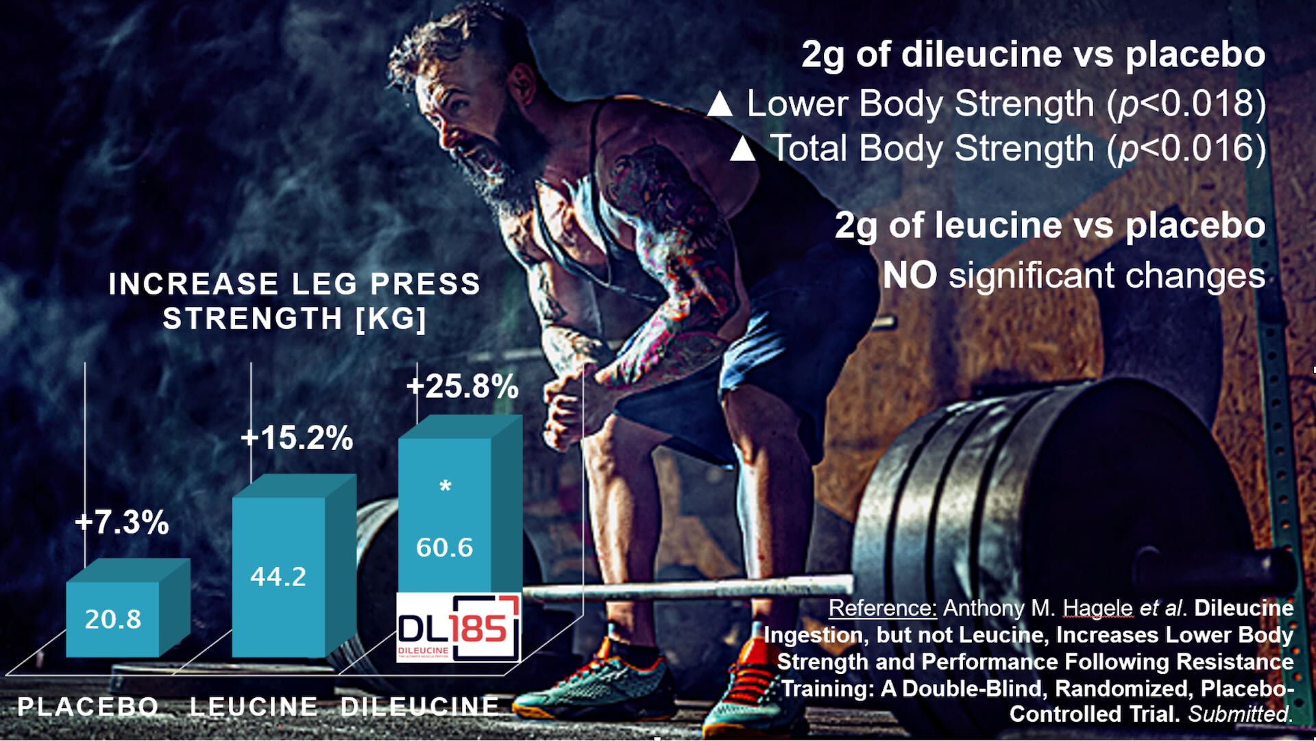 Request DL 185 brochure